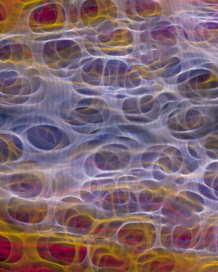 art – David Garland