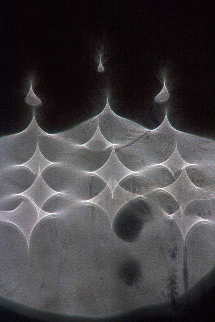 art – David Garland