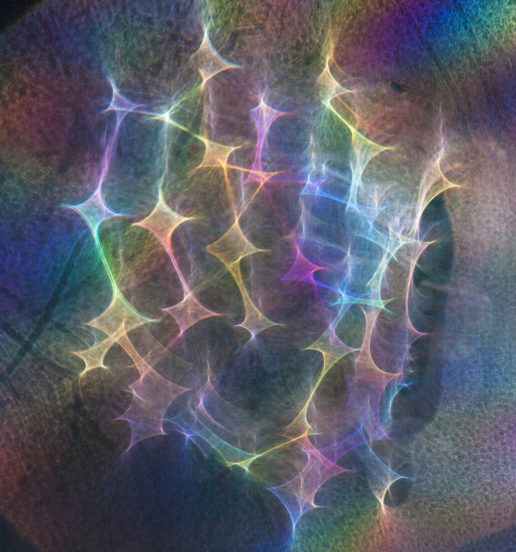 art – David Garland