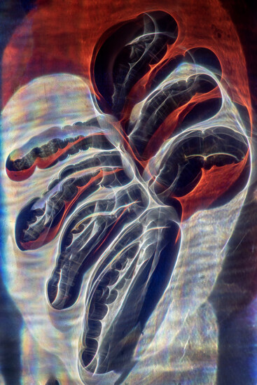 art – David Garland